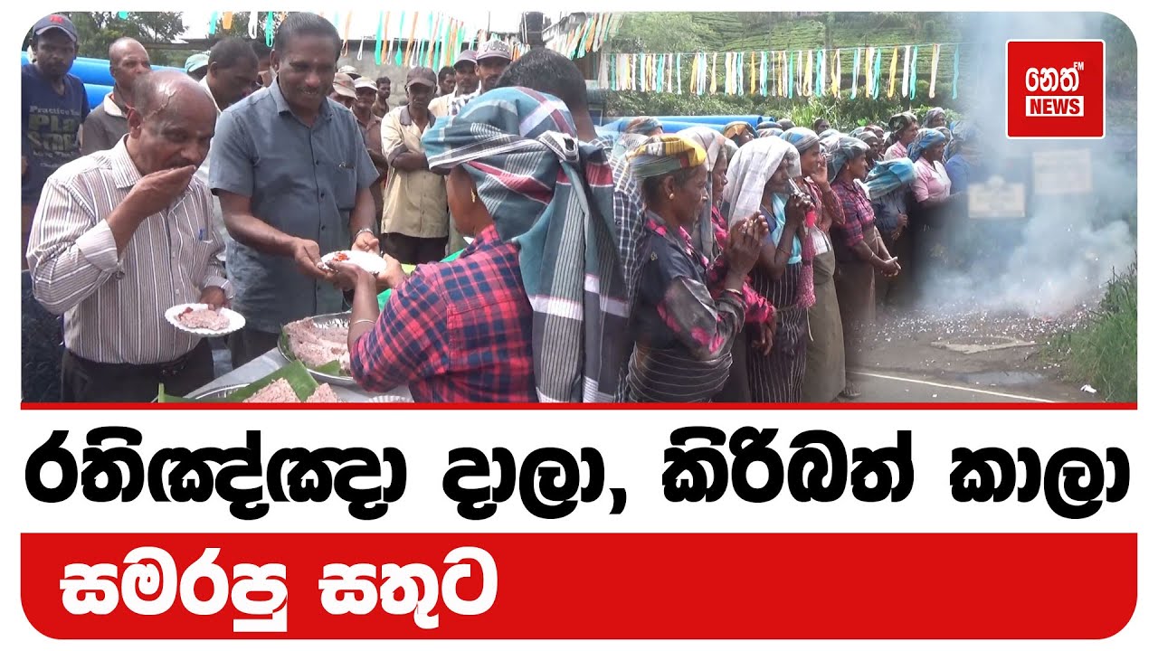 රතිඤ්ඤා දාලා කිරිබත් කාලා සමරපු සතුට Neth News Youtube