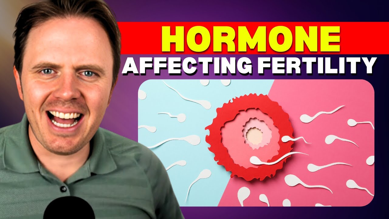 Prolactin & Testosterone: How They Can Disrupt Your Cycle Or Fertility ...