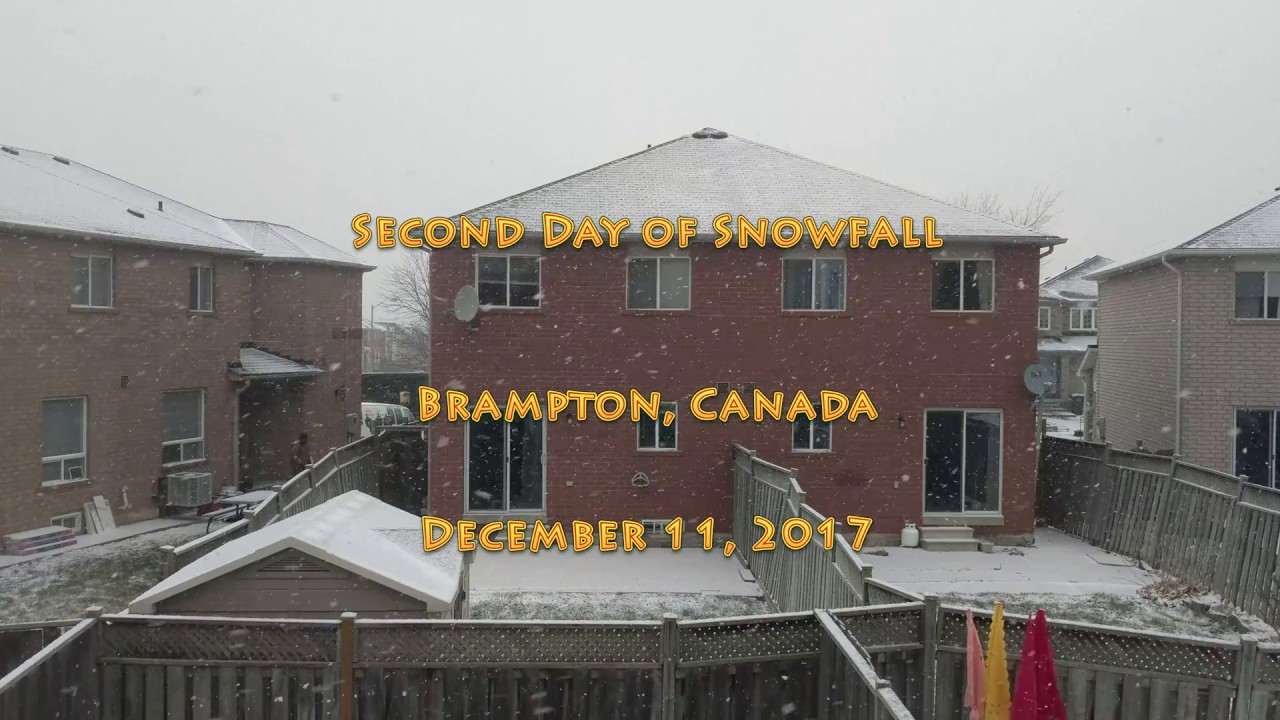 [4K] Second Day of Snowfall in Brampton Canada - YouTube
