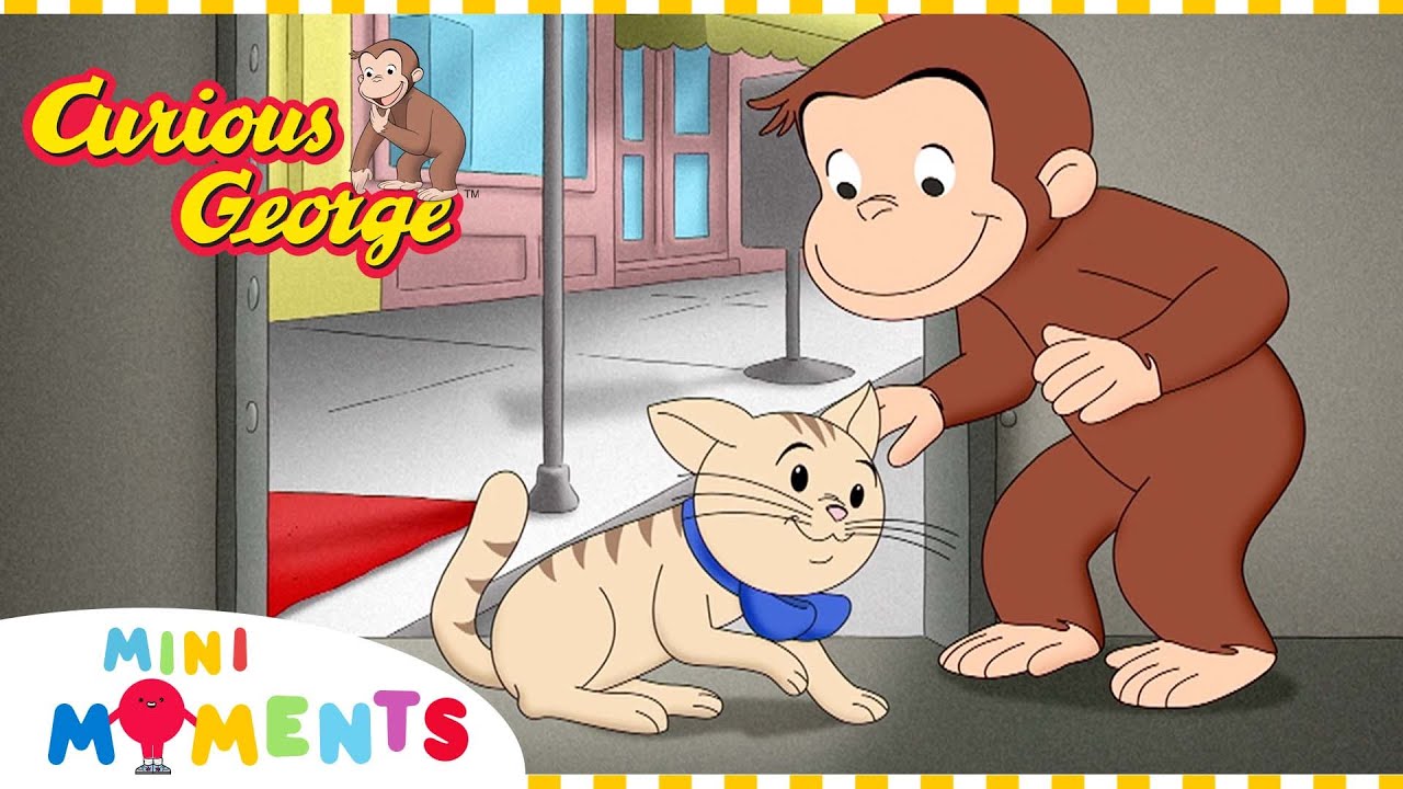 George Makes a New Friend 🐈 | Curious George | Mini Moments - YouTube