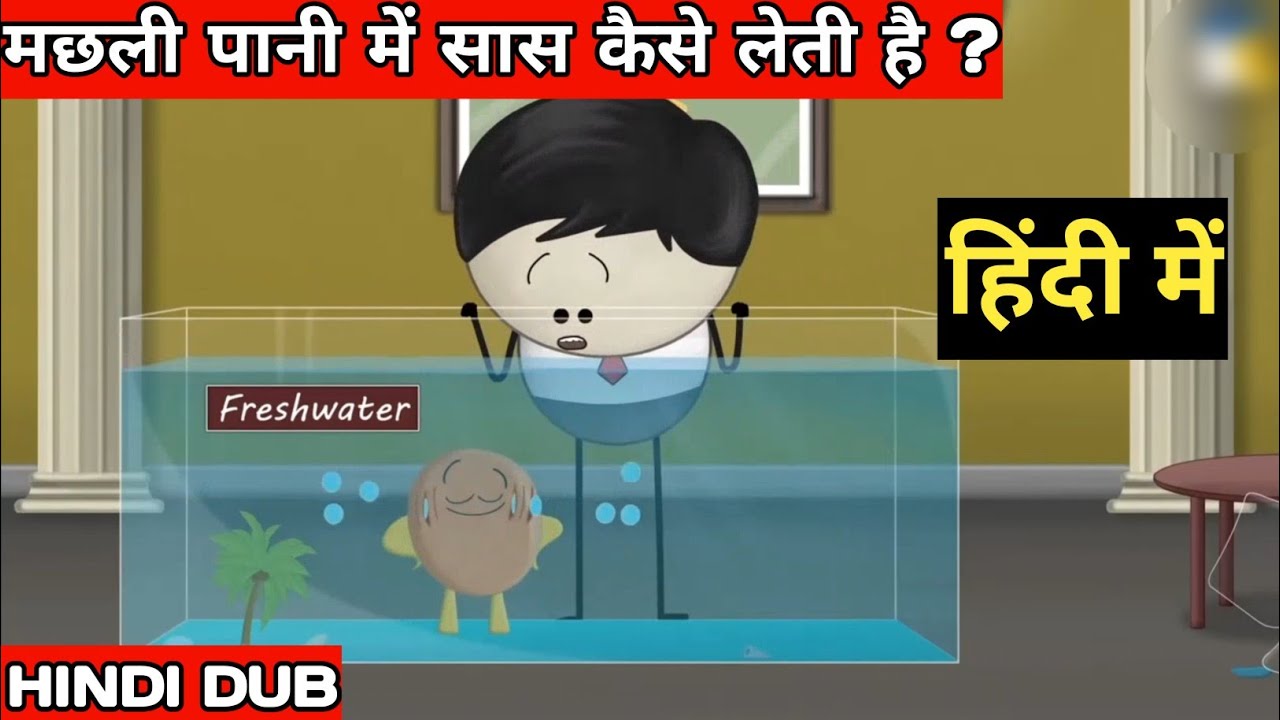 how-do-fish-breathe-in-water-aumsum-hindi-aumsum-time-in-hindi
