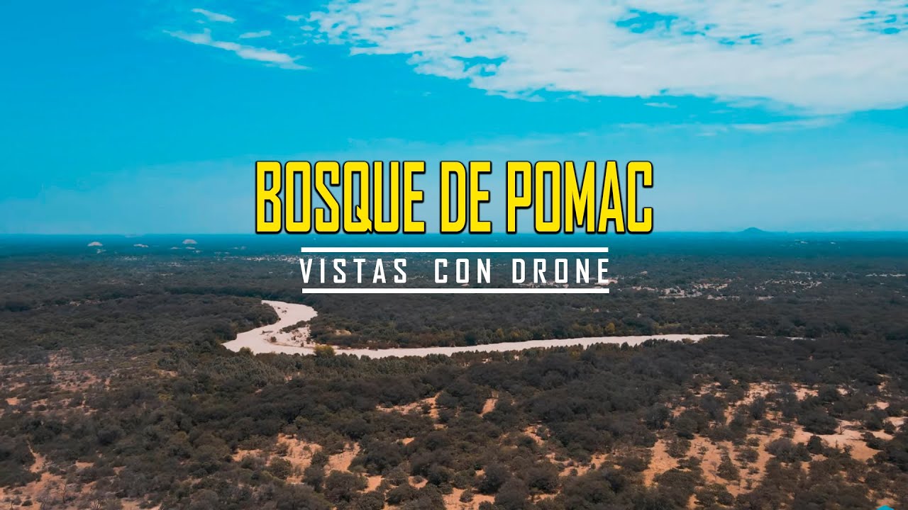 Santuario Histórico | BOSQUE DE POMAC | Vistas con DRONE 4K - YouTube