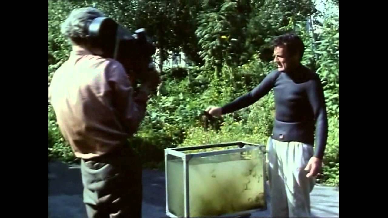 Michael Palin - Flash Bang Wallop - YouTube