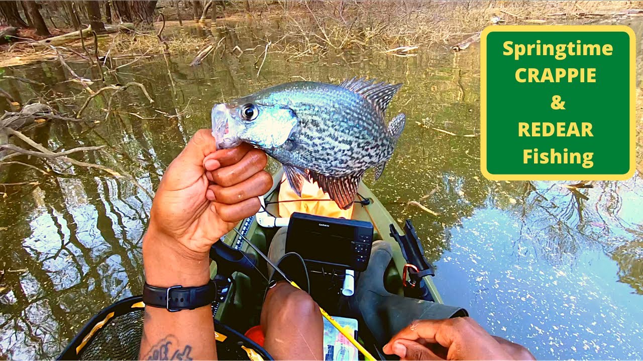Spring CRAPPIE and REDEAR Fishing from Kayak in Georgia - YouTube