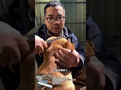 Transform an Imported Bearing Steel Ring into a Mini Knife