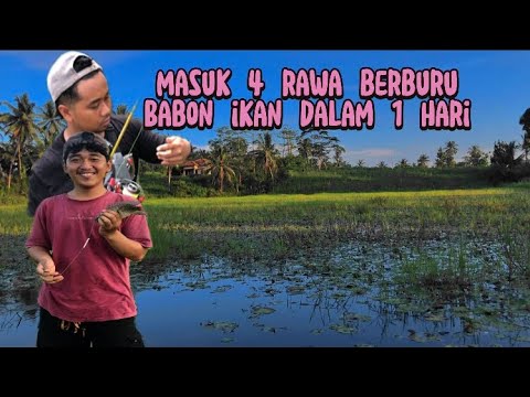 1 hari masuk 4 rawa pakai umpan ati ayam magot & cacing mencari babon ...