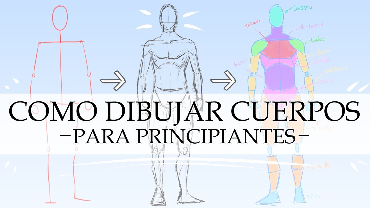 TUTORIAL: Como dibujar un cuerpo - YouTube