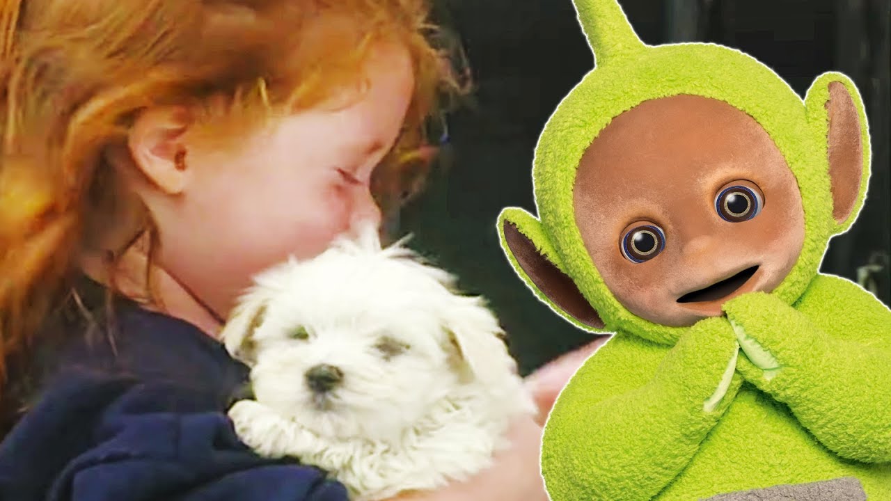Puppies - Teletubbies - Full Episode - YouTube