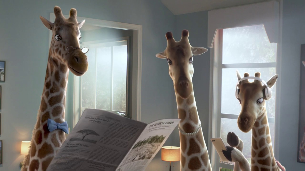 Ark Encounter Giraffes - YouTube