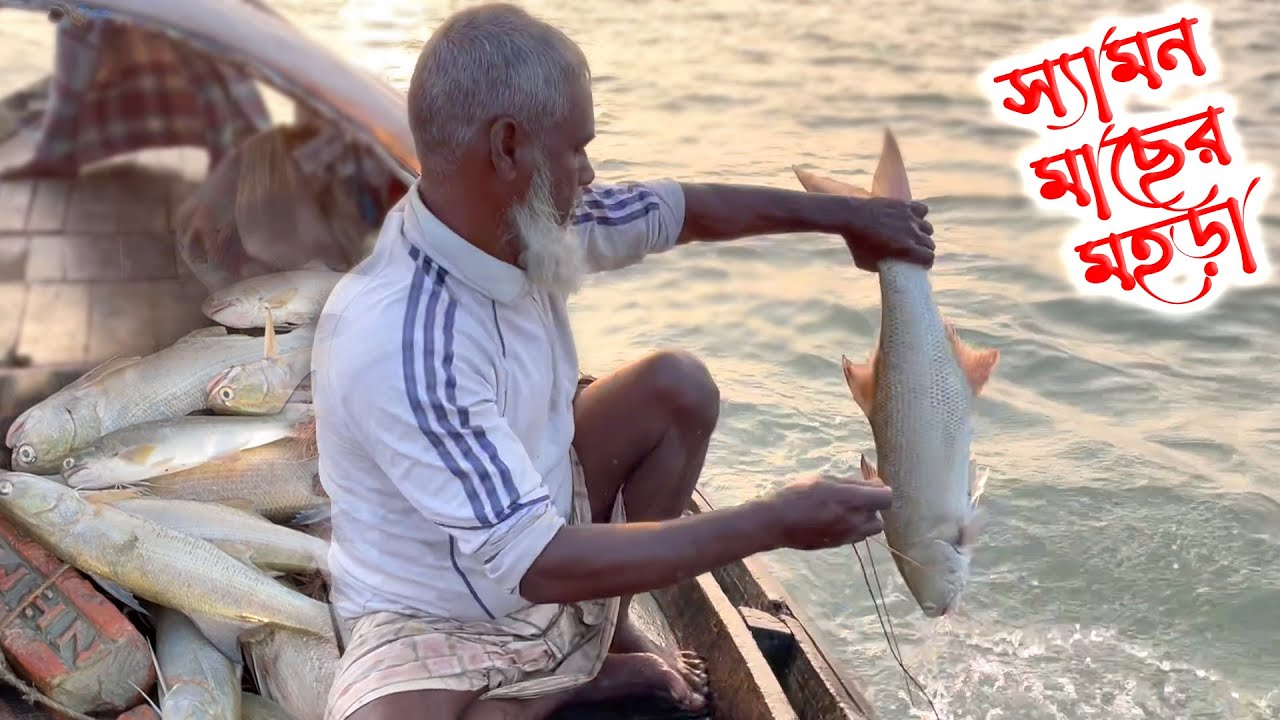 মাছের আনন্দে আনন্দিত সকল জেলের | তাইর‌্যা/স্যামন মাছ ধরা | Indian Samon ...