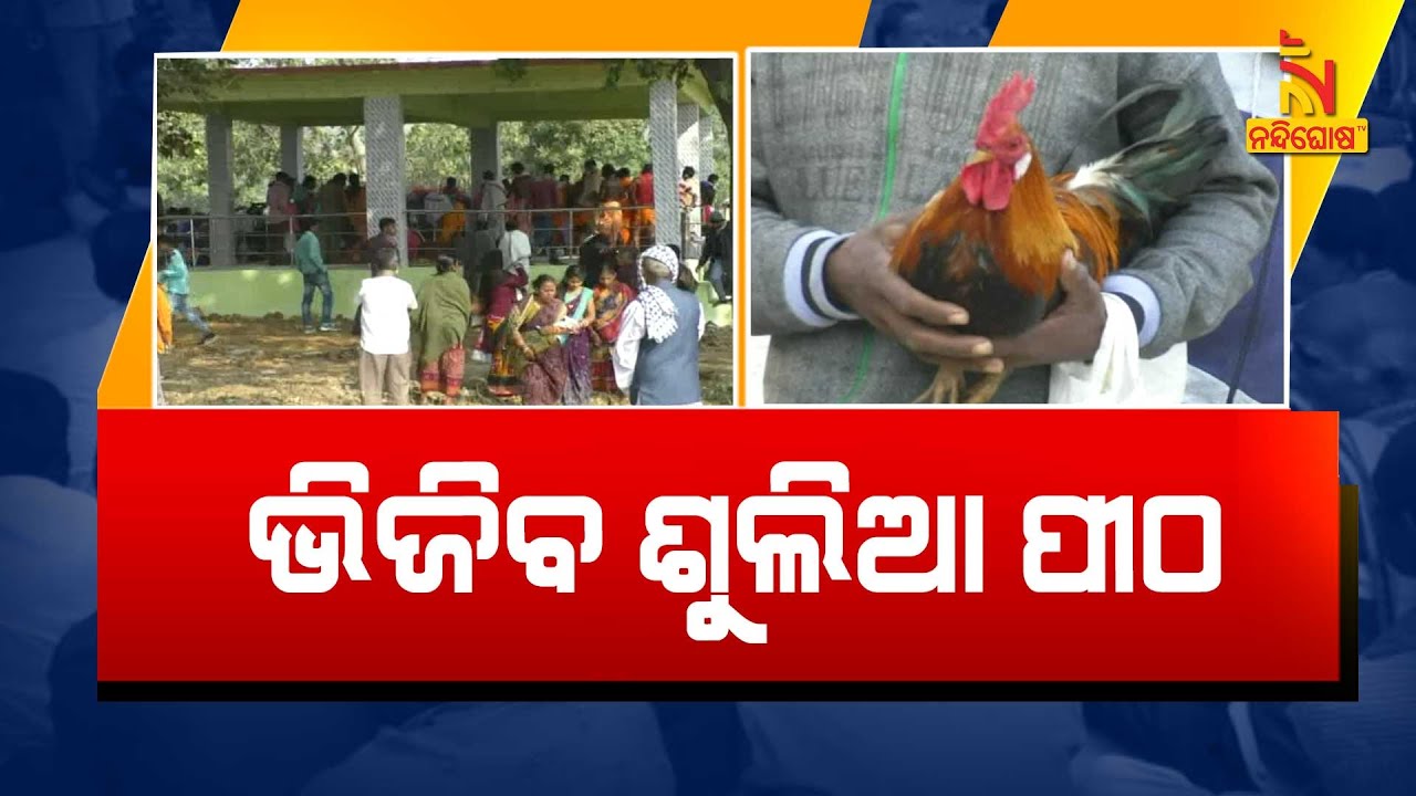 Balangir Sulia Yatra To Be Held Tomorrow । NandighoshaTV - YouTube