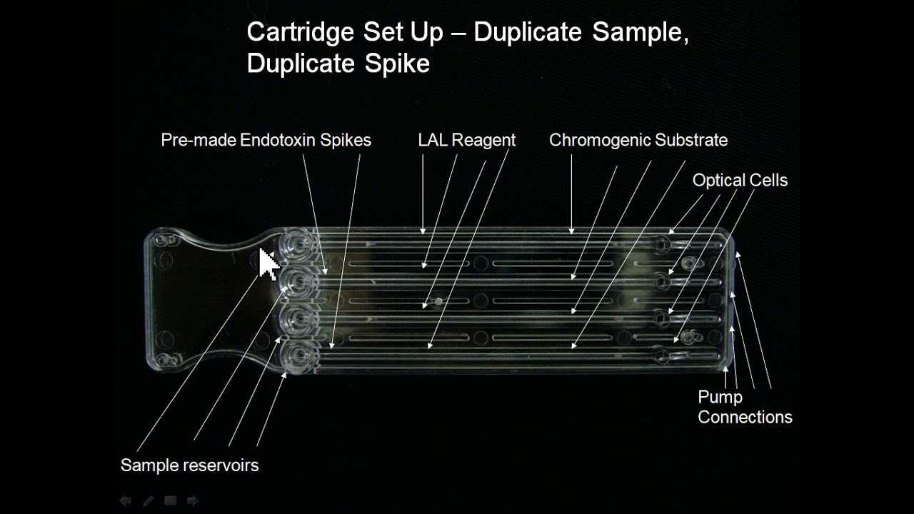 endosafe PTS training 1 - YouTube
