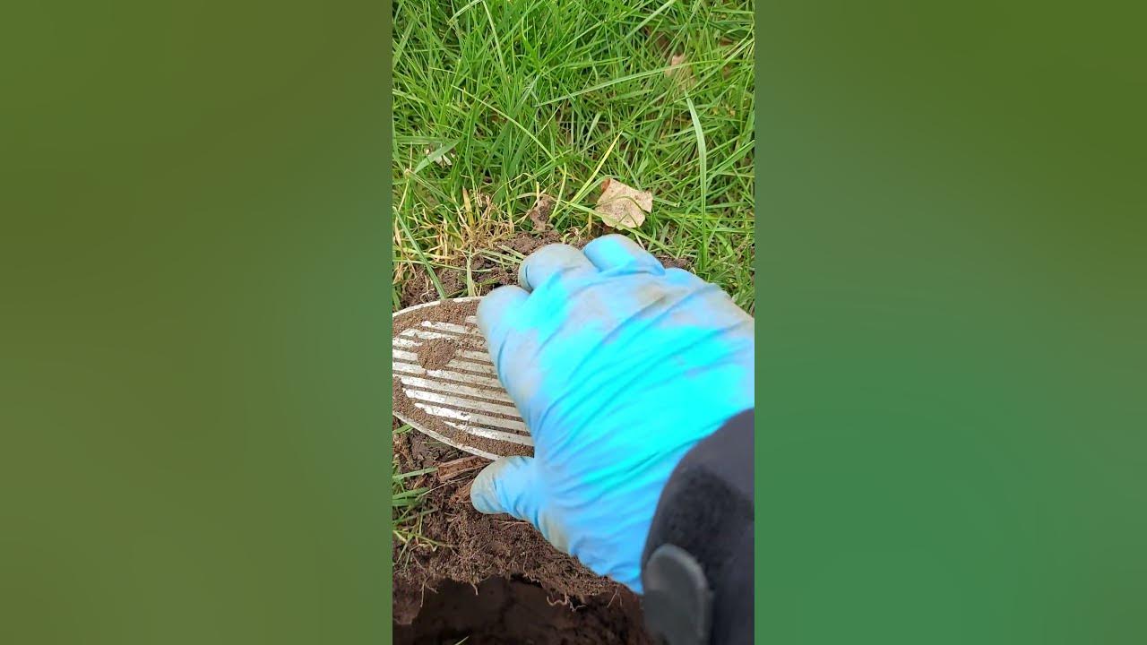 Unearthing HILARIOUS Treasures While Metal Detecting! - YouTube