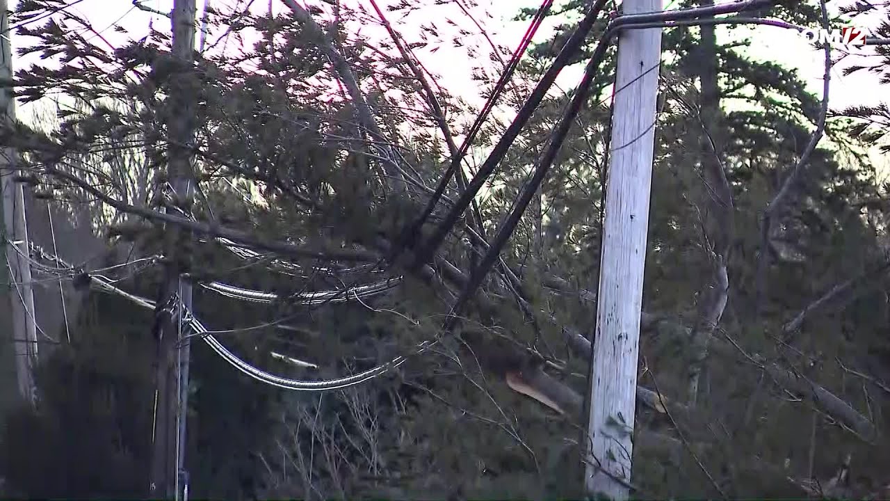 VIDEO NOW: Fallen tree takes down power line in Cranston - YouTube