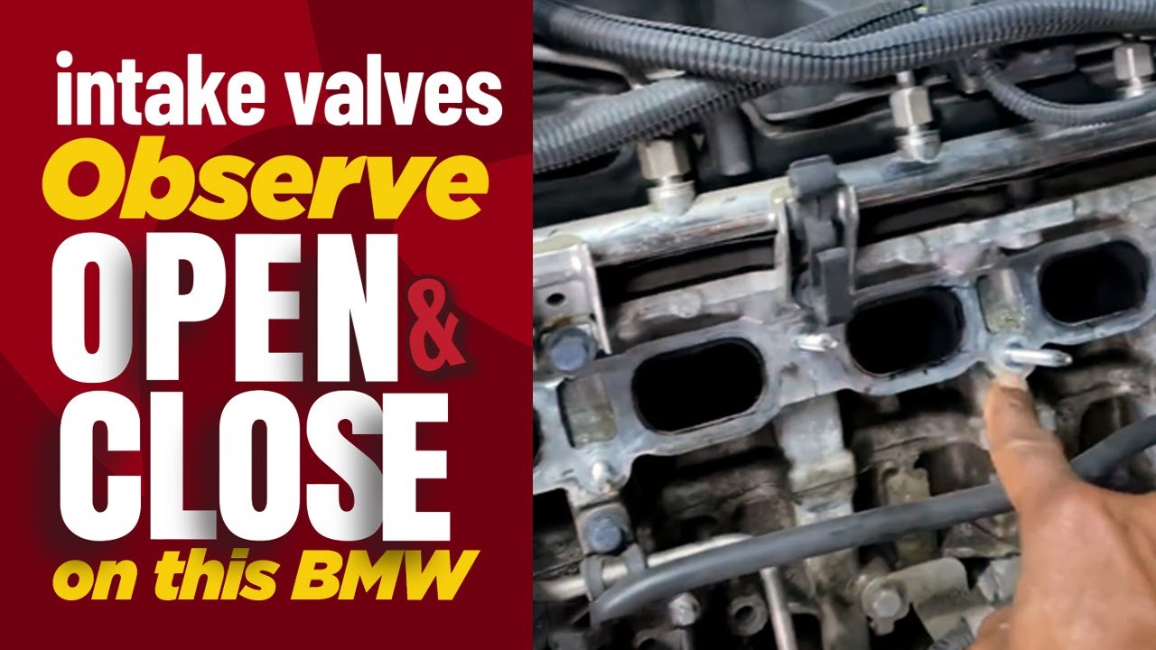 See BMW Valves in Action: Real-Time Intake & Exhaust Operations in a ...