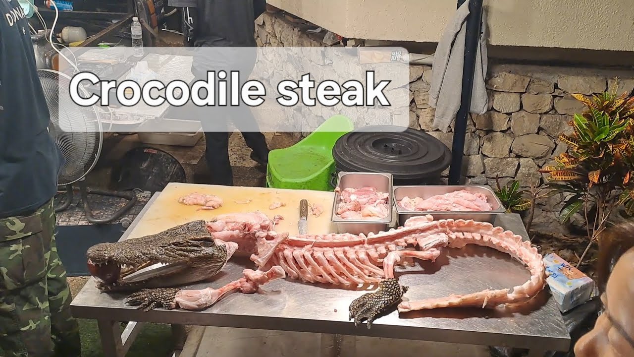 Crocodile steak in Pattaya/ Стэйк из крокодила в Паттайе - YouTube