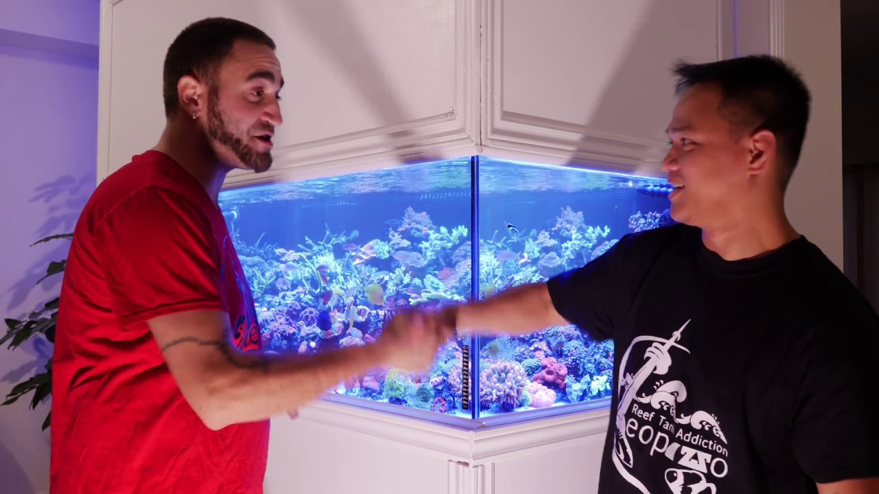 REEF TANK ADDICTION - SEASON 4 EPISODE 2 - YouTube