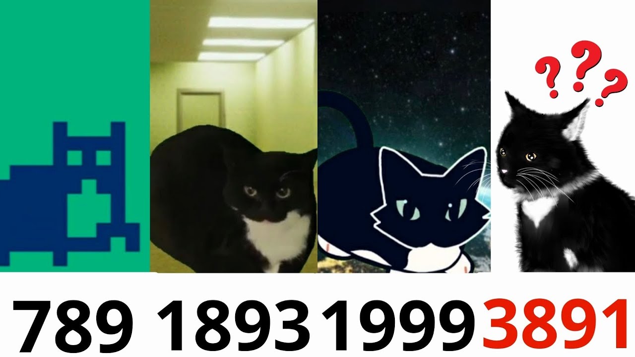 Maxwell the Cat Dance in Different years - YouTube