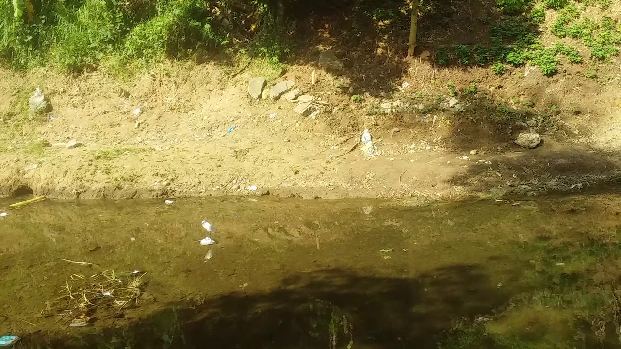 IBONG TULABONG - YouTube