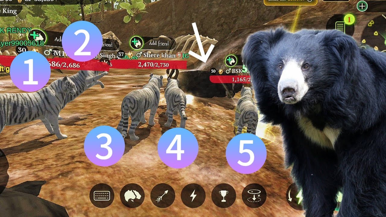 Tiger vs Animal - The Ultimate Survival Challenge - YouTube