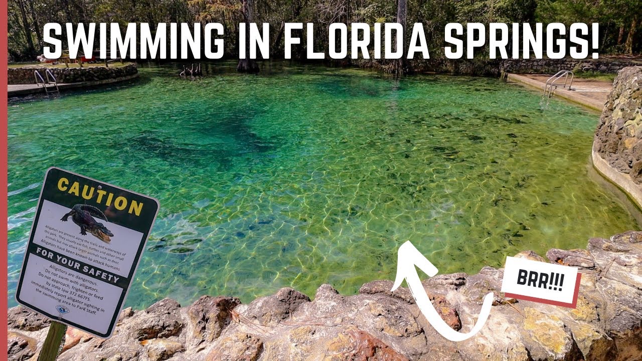 SWIMMING IN FLORIDA'S SPRINGS | RVing Seaside, Florida | Full-time RV ...