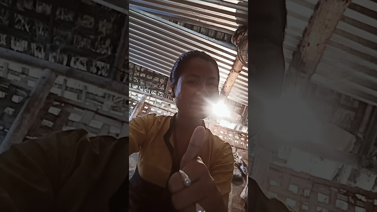 🥰Assamese // ️💌 ️ ️song//Nitu Moni Norah ️ - YouTube