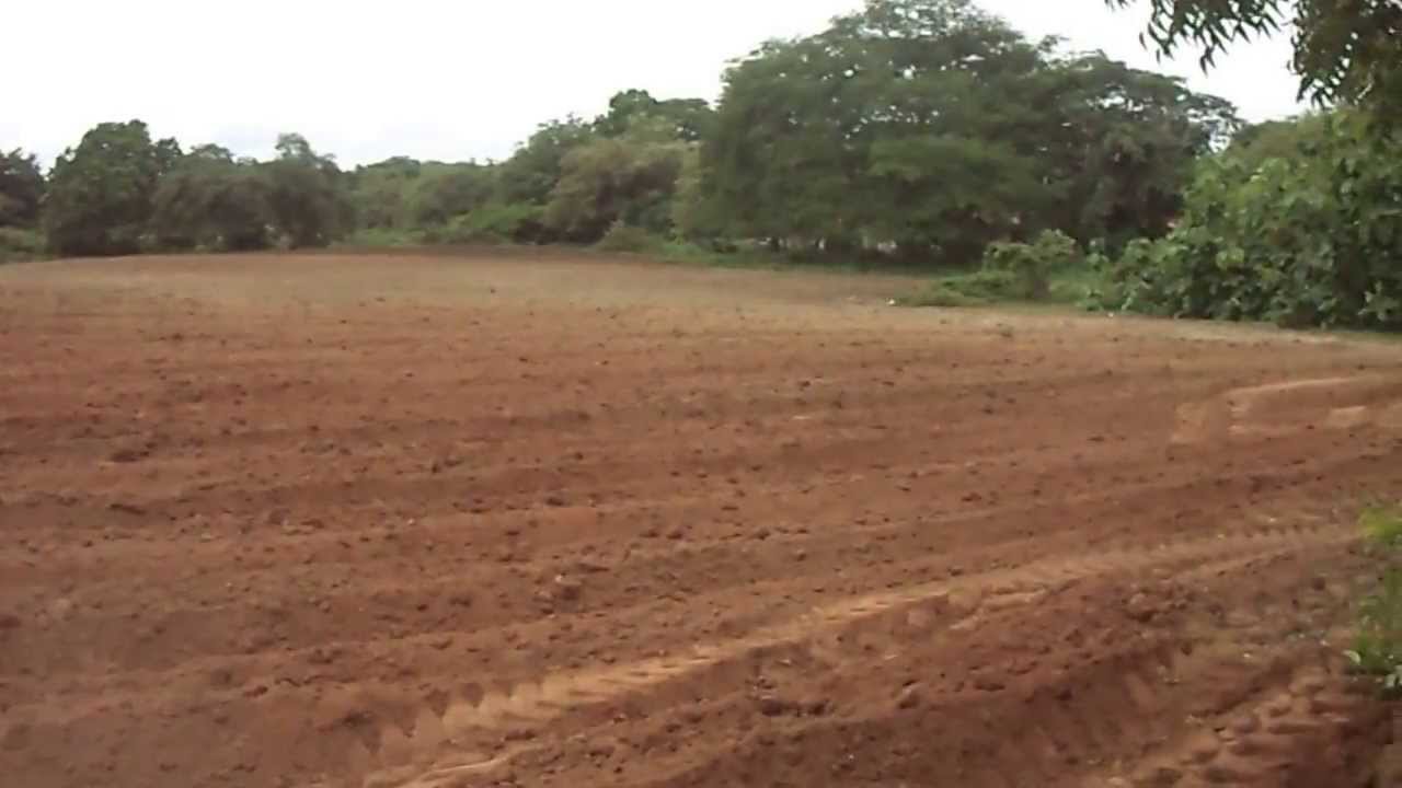 TERRENO PARA SEMBRAR YUCA VALENCIA - YouTube