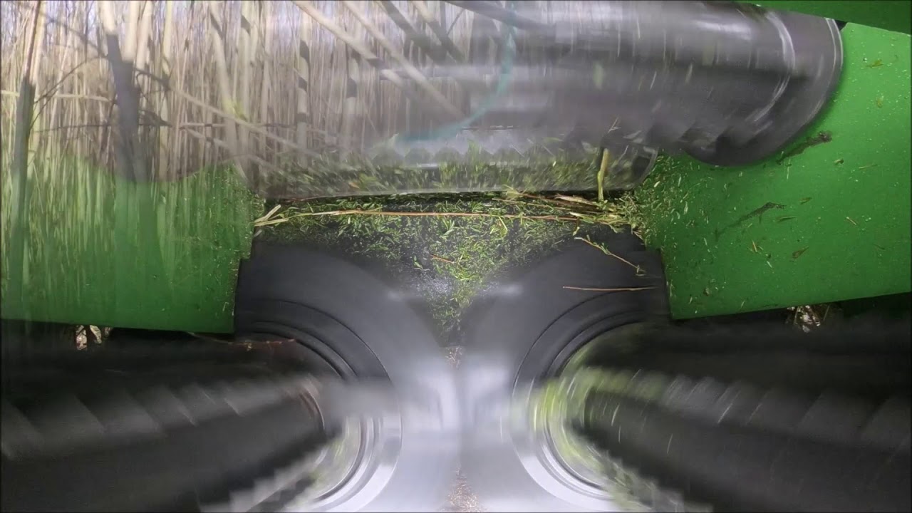 HSAB Head for SRC harvesting on Claas Jaguar - YouTube
