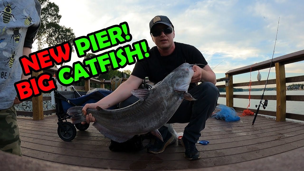 BIG Catfish off NEW Southpoint Pier! (Deep Water Catfish Fights HARD ...