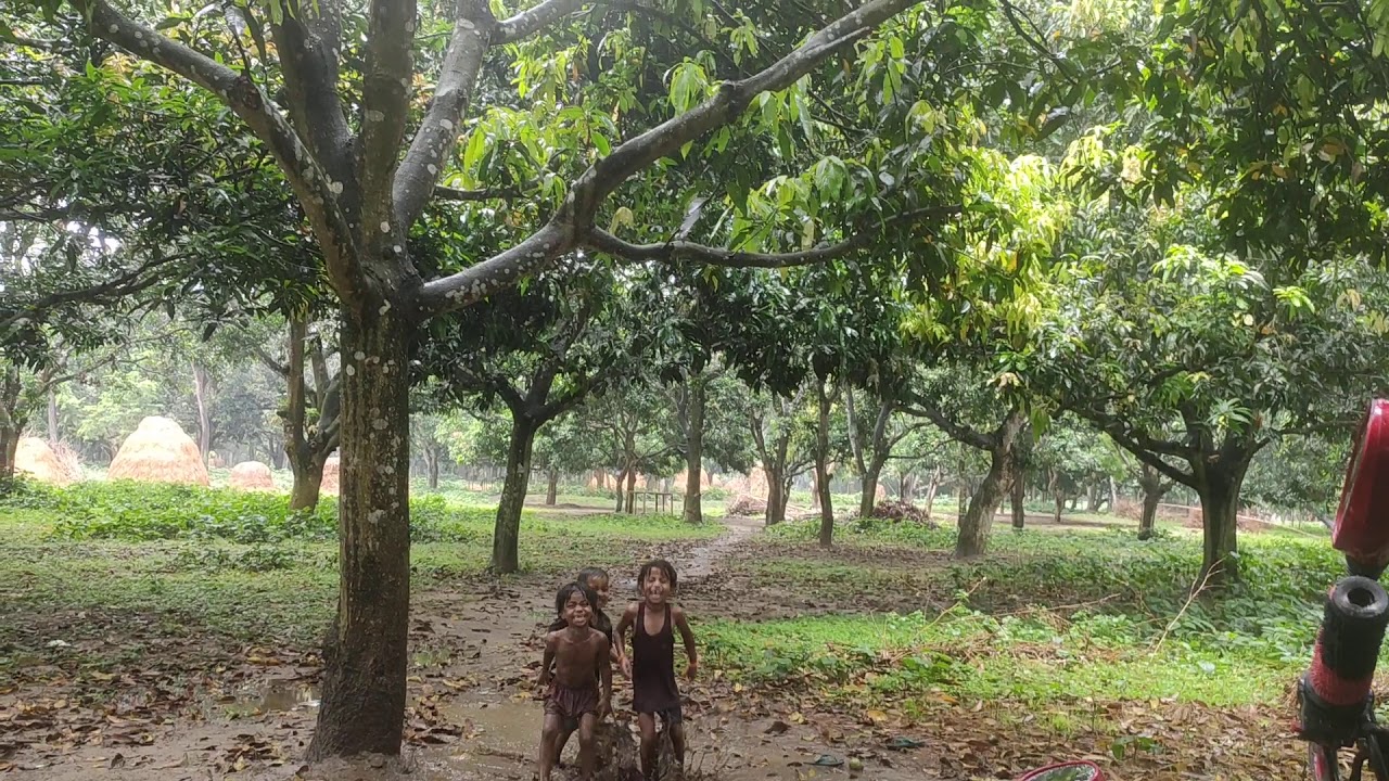 Natural dance - YouTube