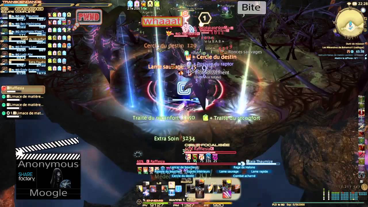FFXIV ARR: Turn 6 Sadique Rafflesia [PLD POV] - YouTube