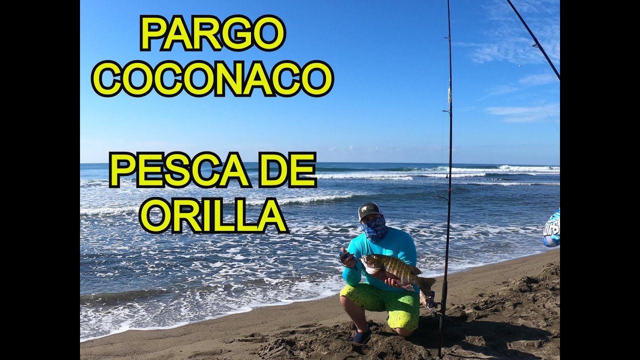 PESCA DE ORILLA - PARGO COCONACO EN PLAYA SALADITA - YouTube