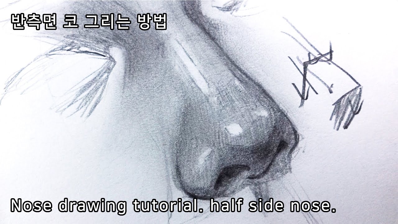 코 그리기 방법 두번째. 반측면 코 / The second nose drawing tutorial. half side nose ...
