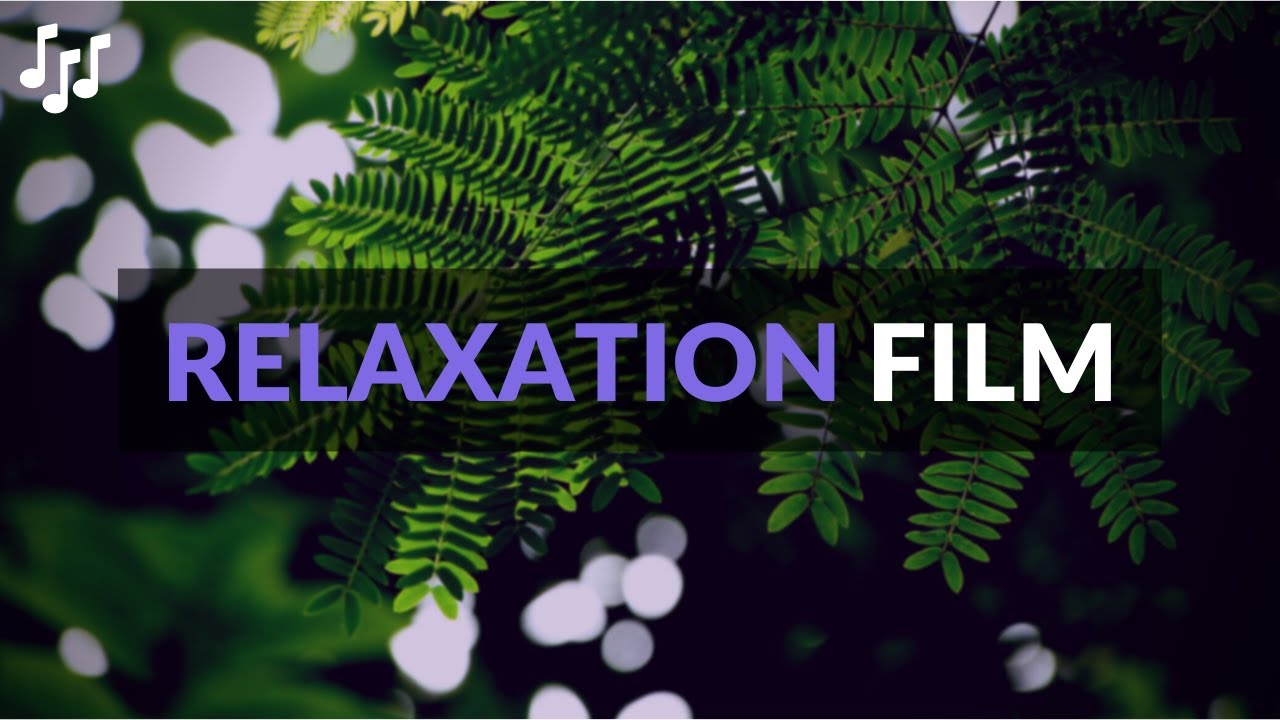 Nature Relaxation Film - At Location | Beautiful Nature | Cinematic ...