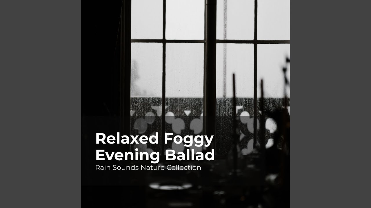 Placid Calm Riverbed - YouTube