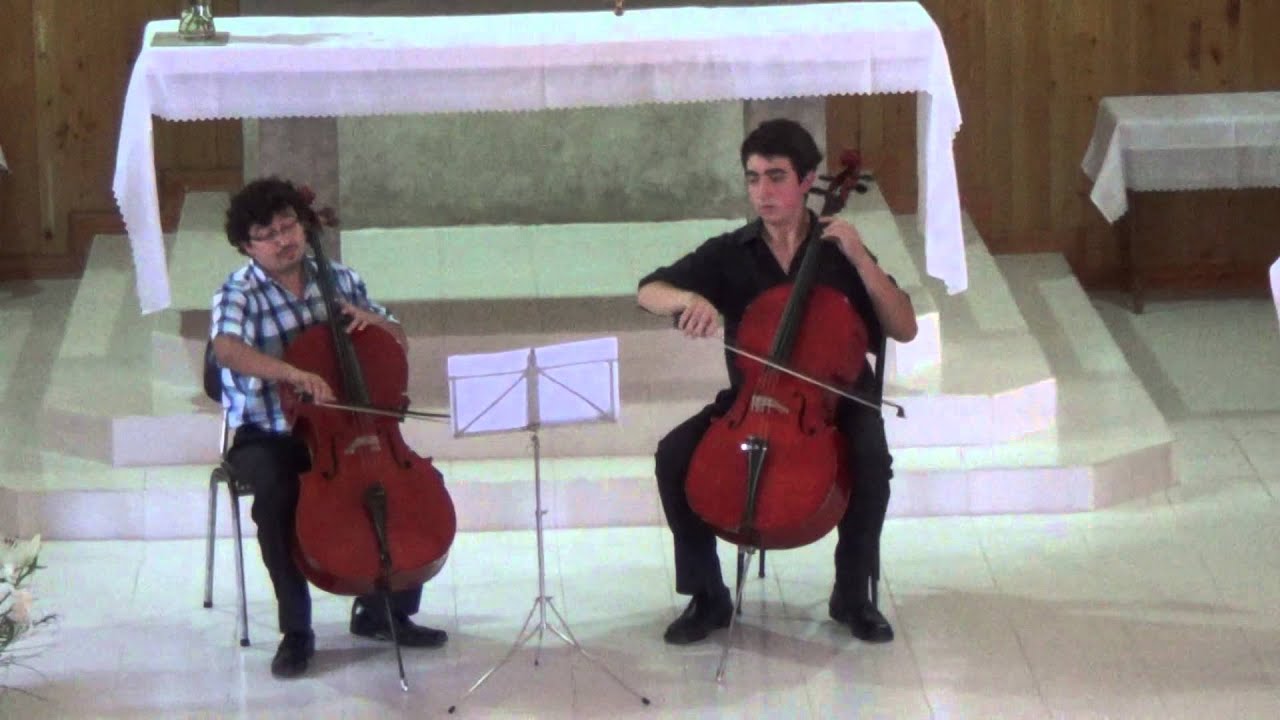 S.Lee Cello Duo - YouTube