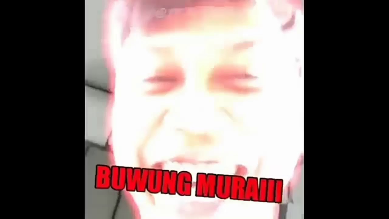 MEME EDITOR BERKELAS||BUWUNG MURAI|| - YouTube