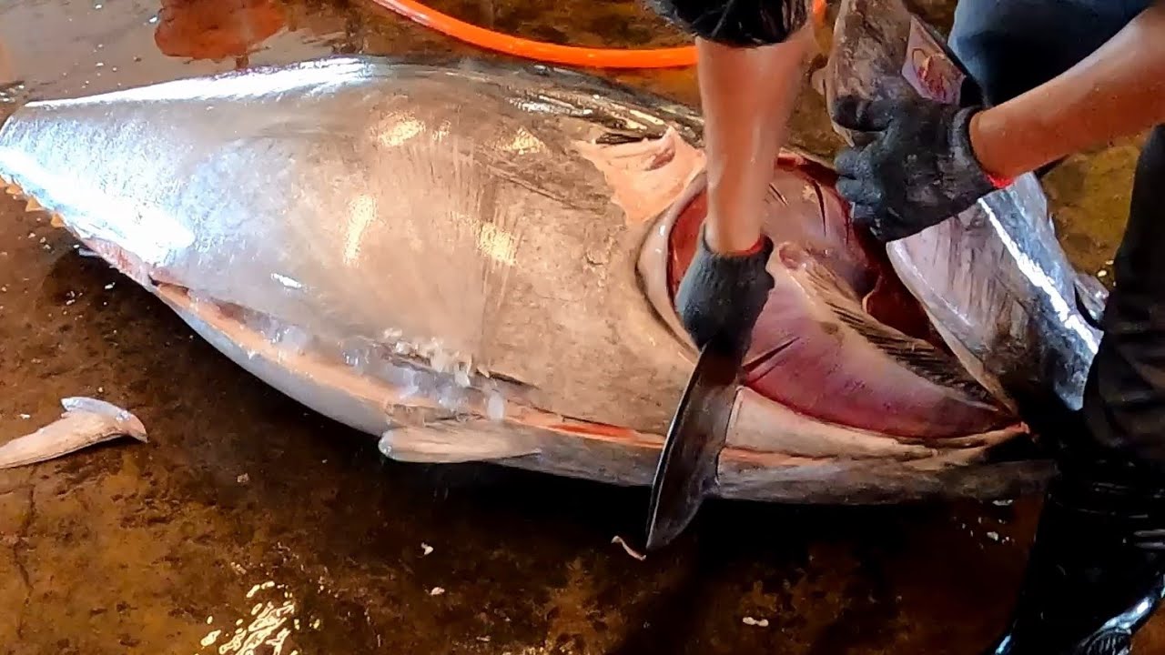 Cut Off the Head of 400kg Giant Bluefin Tuna with One Blow #bluefintuna ...