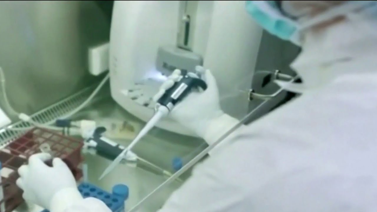 Delta variant: What does a 'viral load' mean? - YouTube