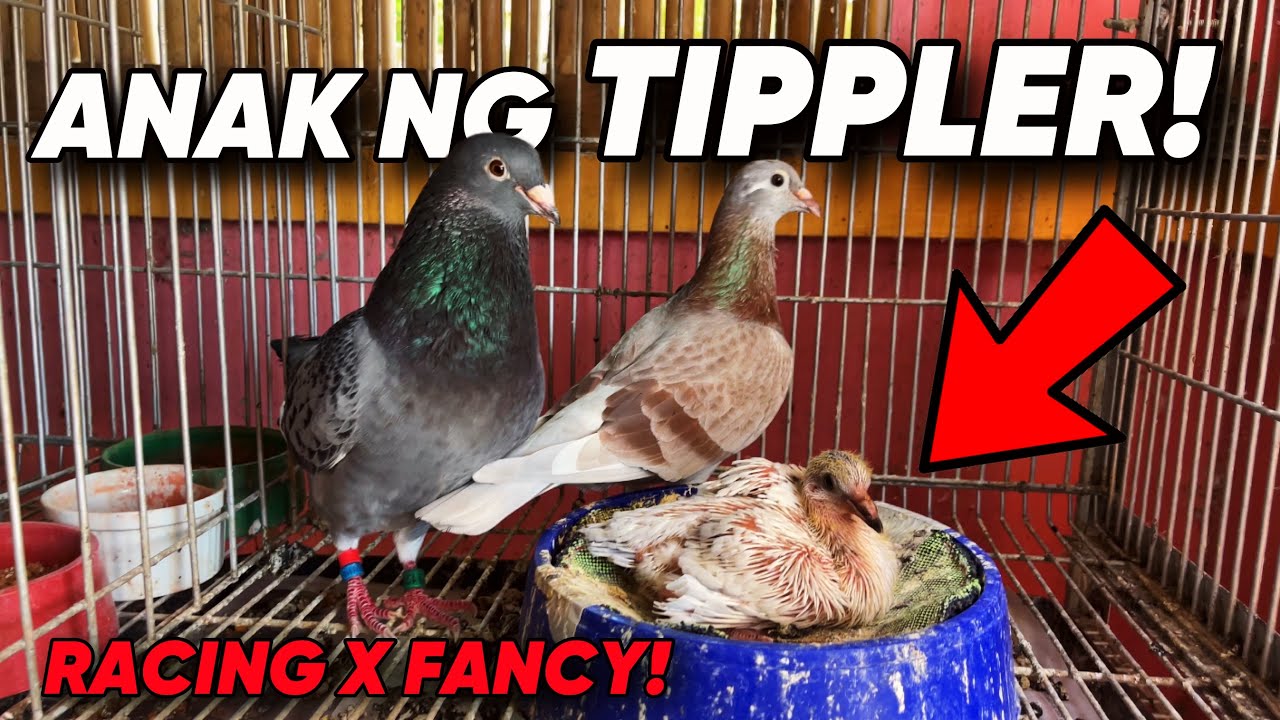 BABY NETOY MALAKI NA! LIIT NG ILONG NYA 🥲 - YouTube