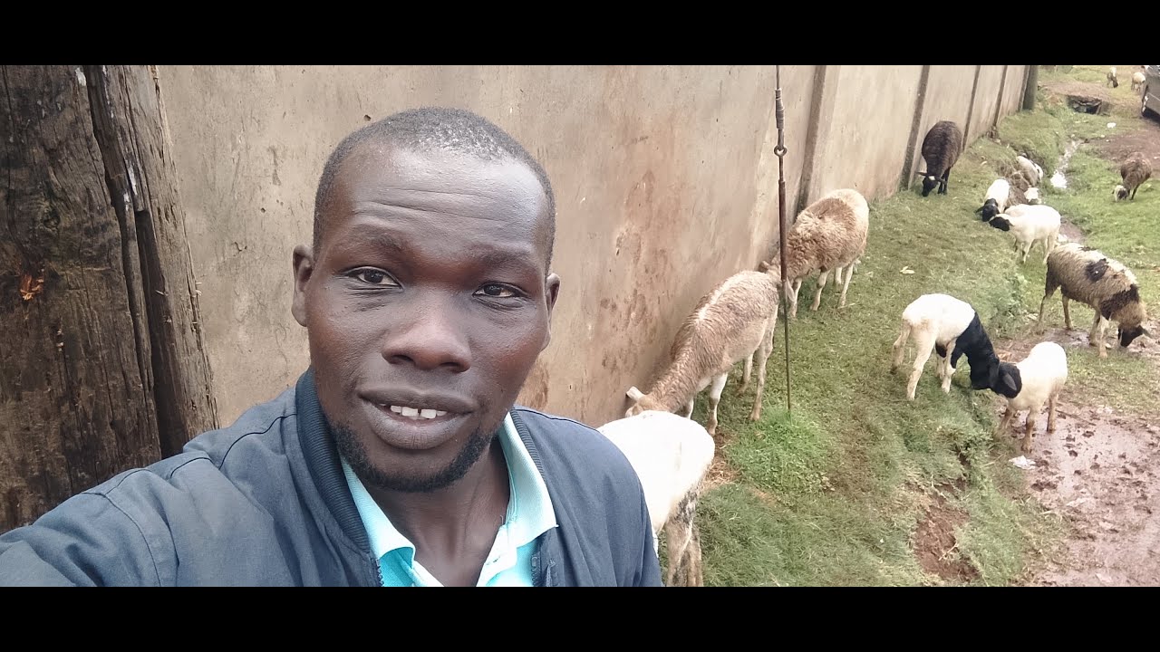 The Story Of The Good Shepherd!!! (Africa - Kenya) @iammarwa @DeeMwango ...