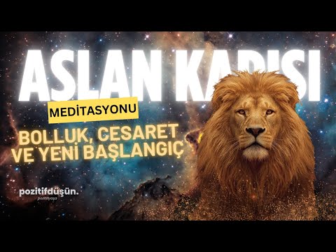 8-8 Aslan Kapısı Meditasyonu | Bolluk, Cesaret ve Yeni Başlangıç Enerjisi #meditasyon #aslankapısı