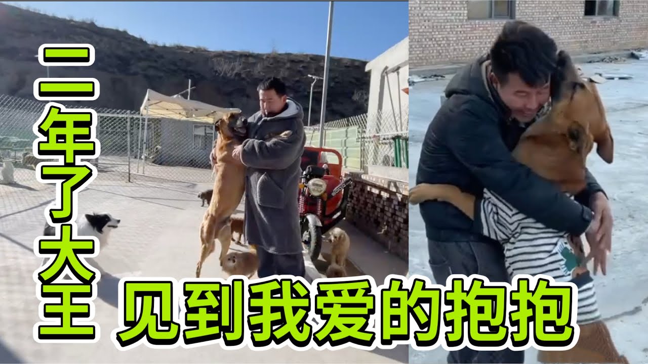 2024-12-14 Stray dog home 两年以来来自大王的拥抱，救助它这么久了时间见到我的第一时间就是爱的拥抱。 - YouTube