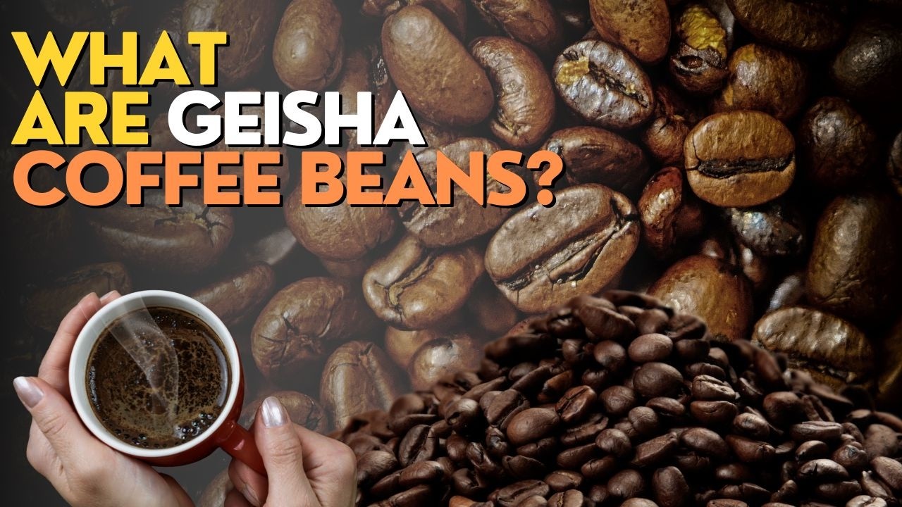 What are Geisha Coffee Beans? - YouTube