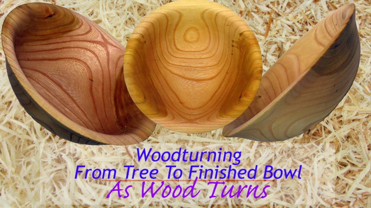 Woodturning From Tree To Finished Bowl - YouTube