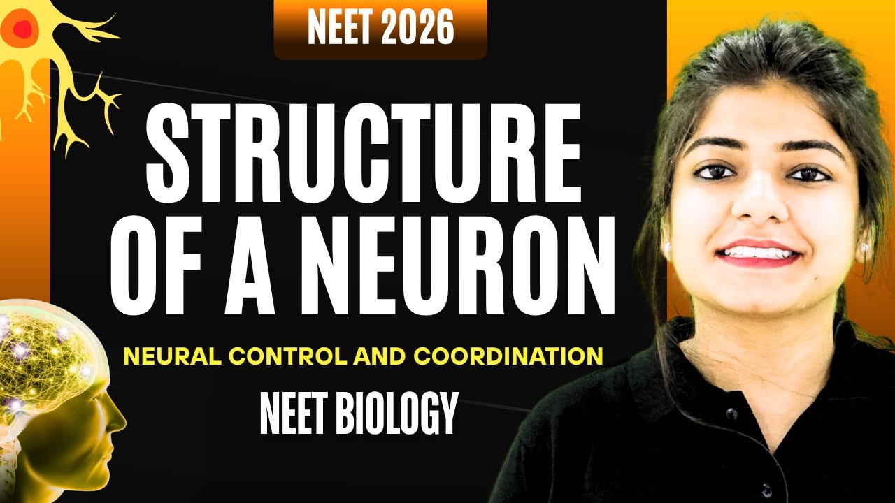 Structure of a Neuron | Neural Control and Coordination | Complete ...