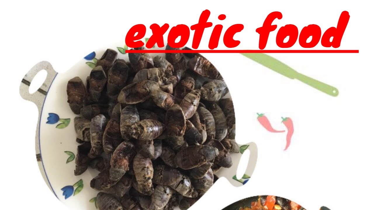 EXOTIC food can u try and eat - YouTube