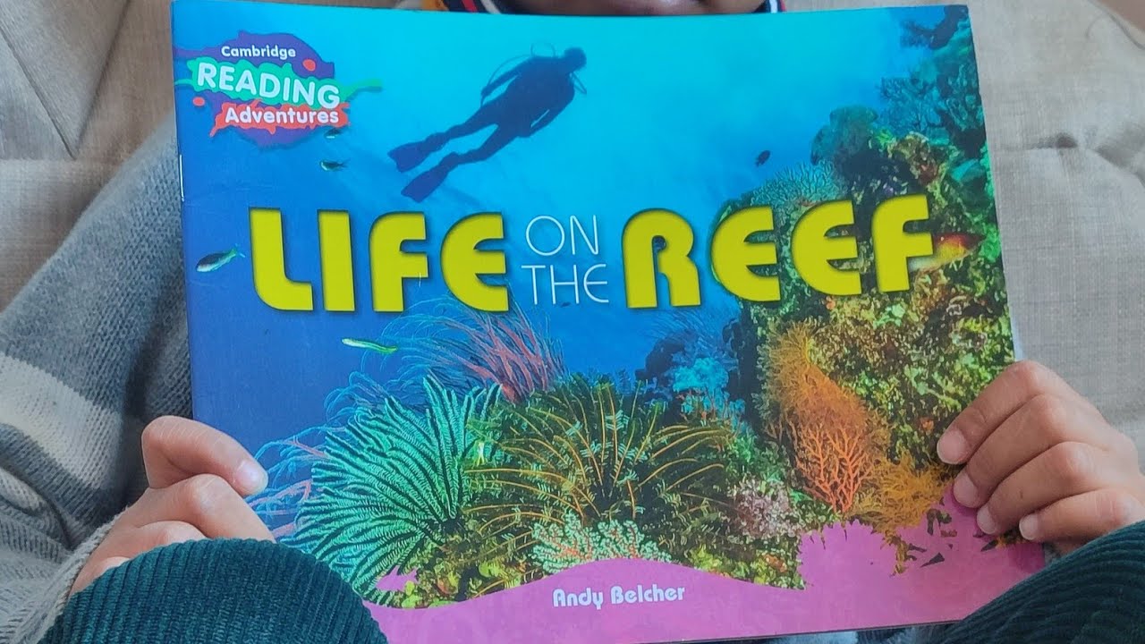English story Time/LIFE ON THE REEF/READING ADVENTURE - YouTube