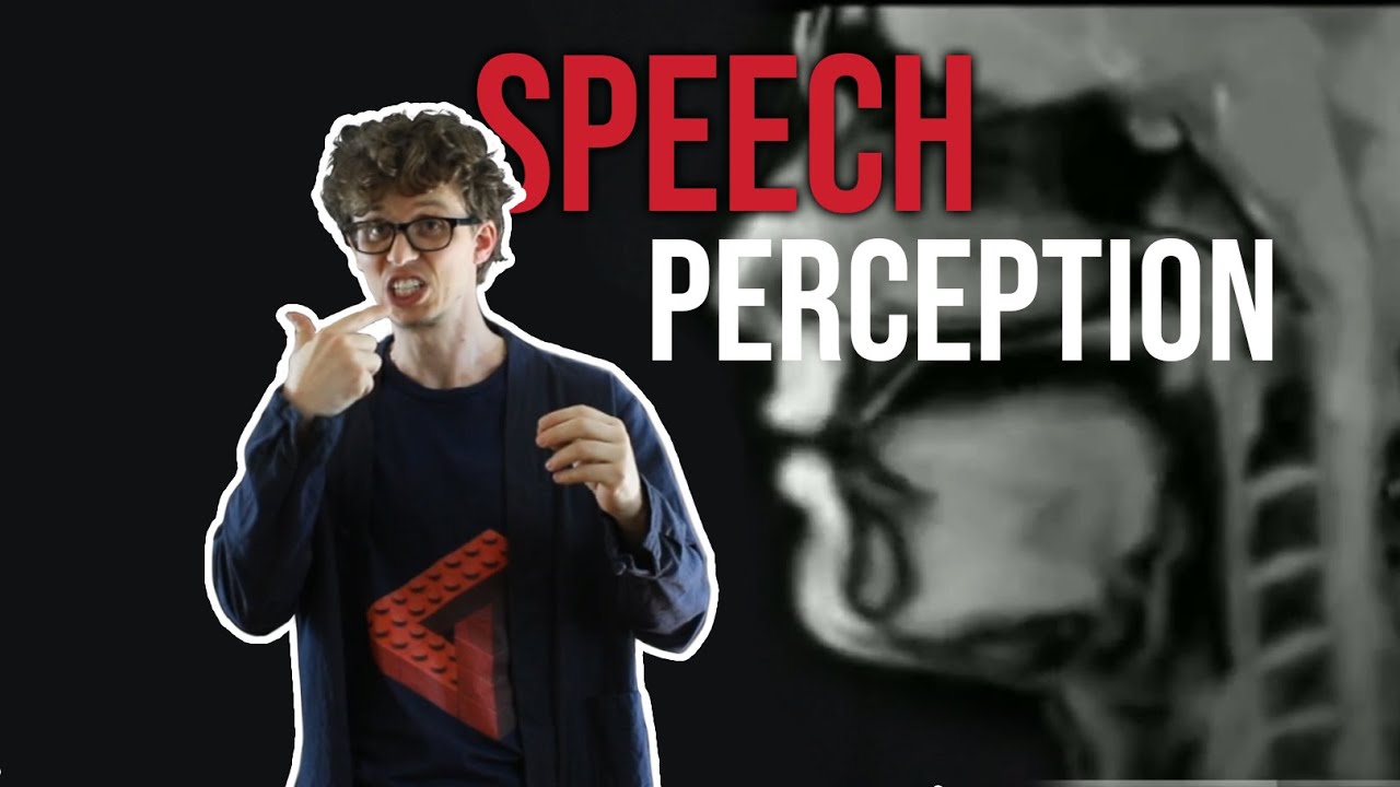 How do we perceive human speech? - YouTube