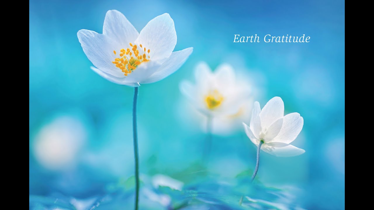 Earth Gratitude - YouTube